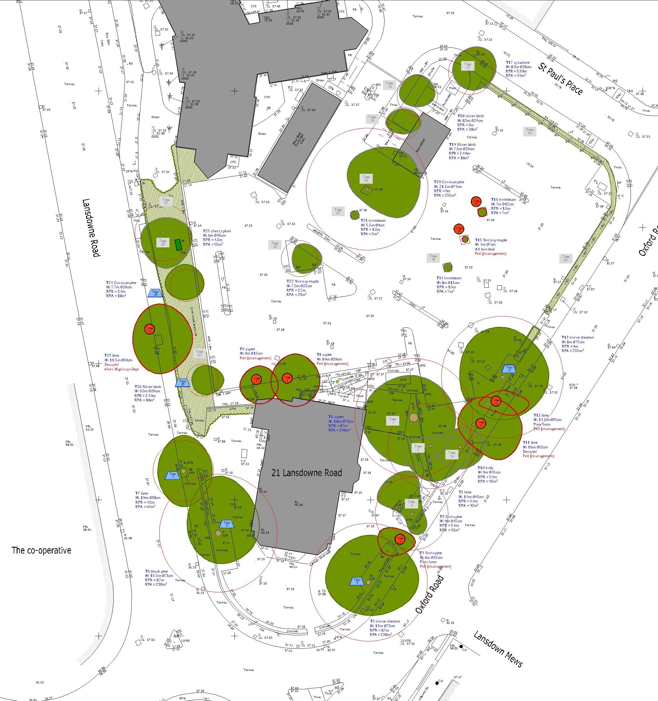 Trees & Planning | Soundwood Tree Consultancy | Tree Consultant | Dorset